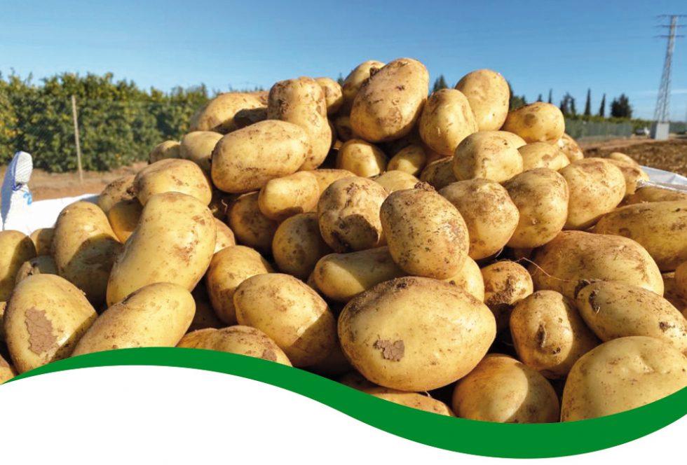 Interagro - Interagro